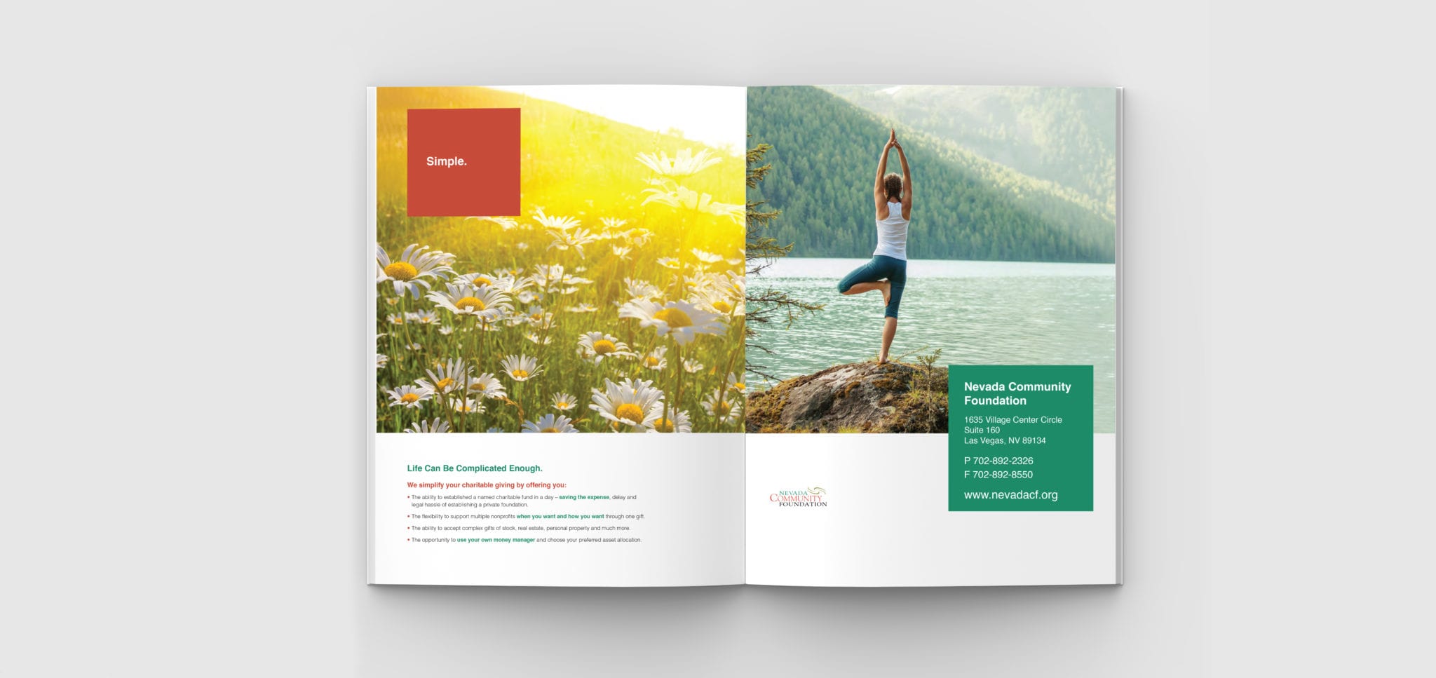 Nevada Community Foundation, Brochures and Print – Canyon Creative